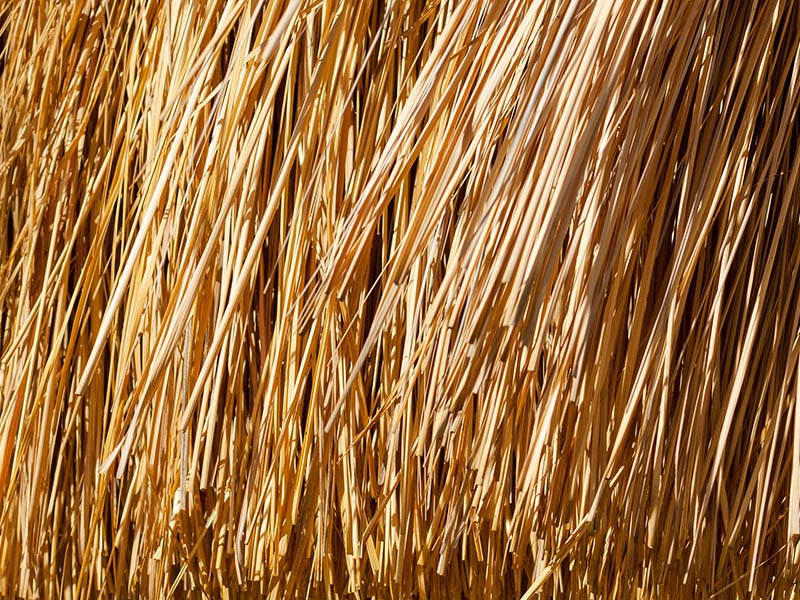 Hasır Nedir? Hasırın Tam Anlamı ve Kullanım Şekli