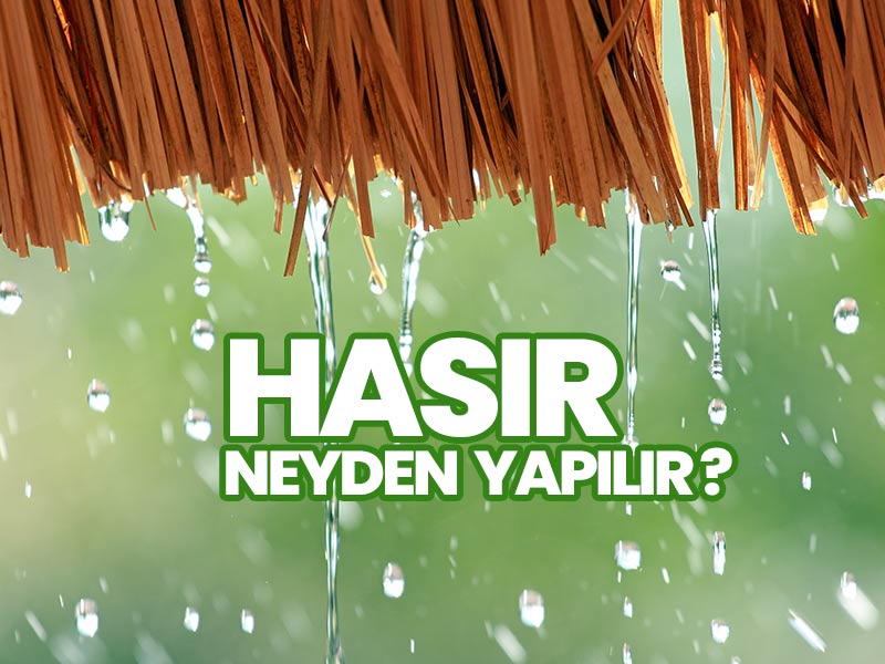 Hasır Neyden Yapılır? | Hasırdan Neler Yapılır?