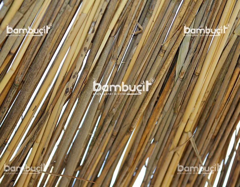 Kargı Nedir? Kargı İle Neler Yapılır?